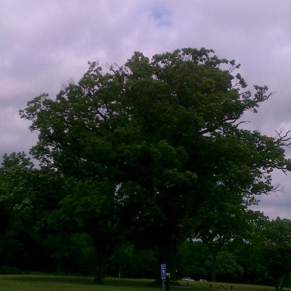 Rubio Woods - Midlothian, IL