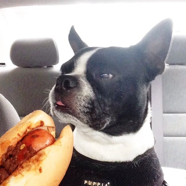 Potts' Hot Dogs - Hot Dog Joint