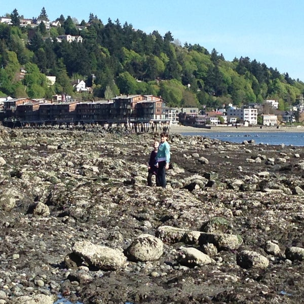 Rocky Beach - Beach in Seattle