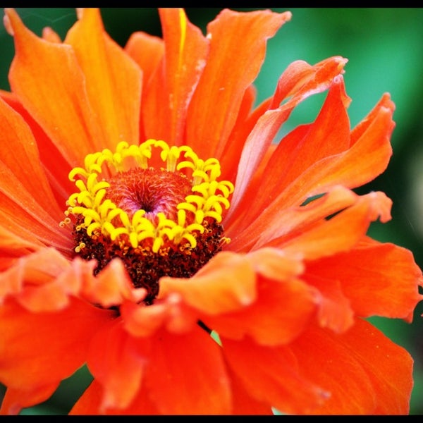 Mocha Lisa - Coffee Shop