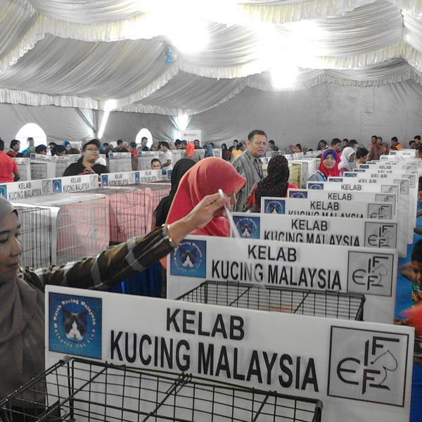 Perlis Snake and Reptile Farm (Taman Ular dan Reptilia Perlis) - 2 tips