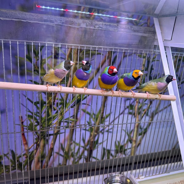 Tuin-, Sfeer- & Kluscentrum De Boet - Hoogwoud, Noord-Holland