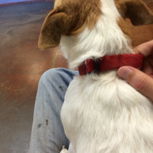 Valley View Veterinary Clinic - Council Bluffs, IA