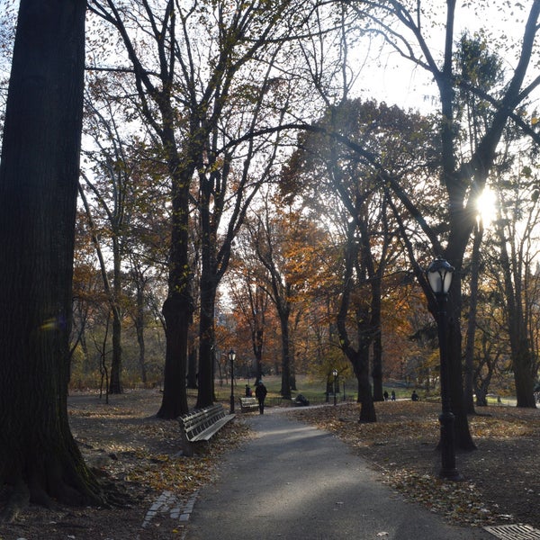 Photos at Arthur Ross Pinetum - Central Park - Central Park W