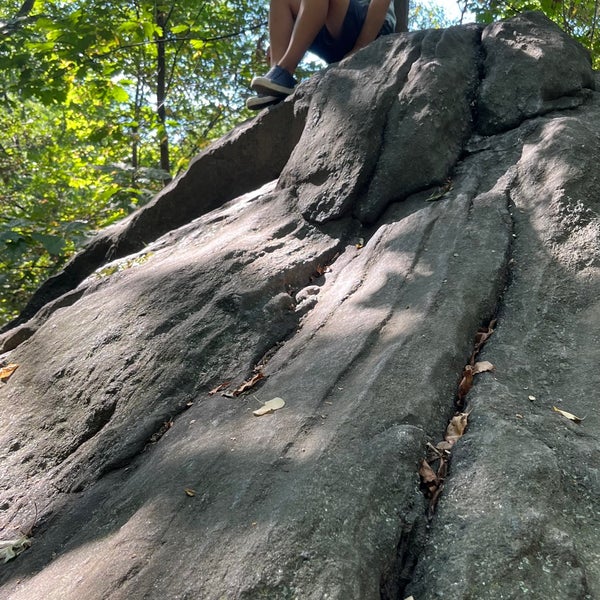 Photos at The Ramble - Central Park - New York, NY