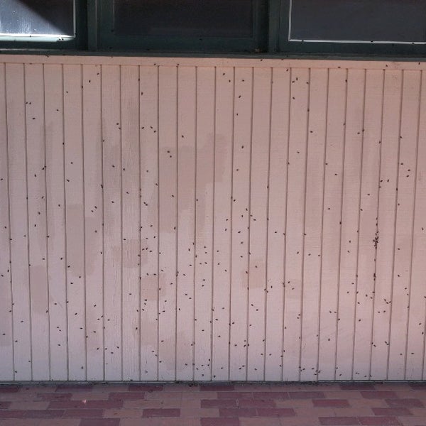 Photos at Neale Woods Nature Center - Omaha, NE