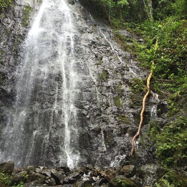 Hamama Falls - 1 tip from 90 visitors