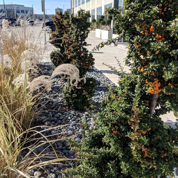 Grid Dynamics - Plano, TX