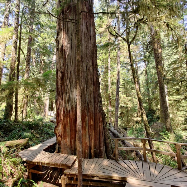 Rainforest Trail - Hiking Trail