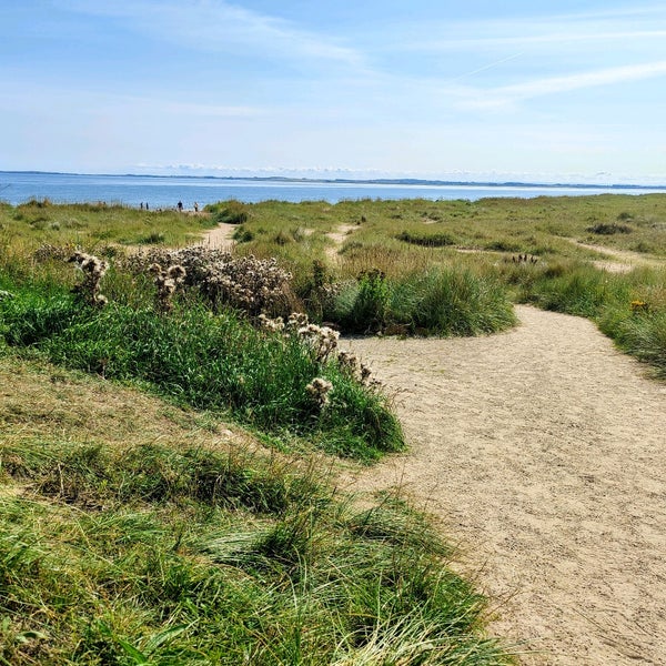 Dornoch Beach - Beach