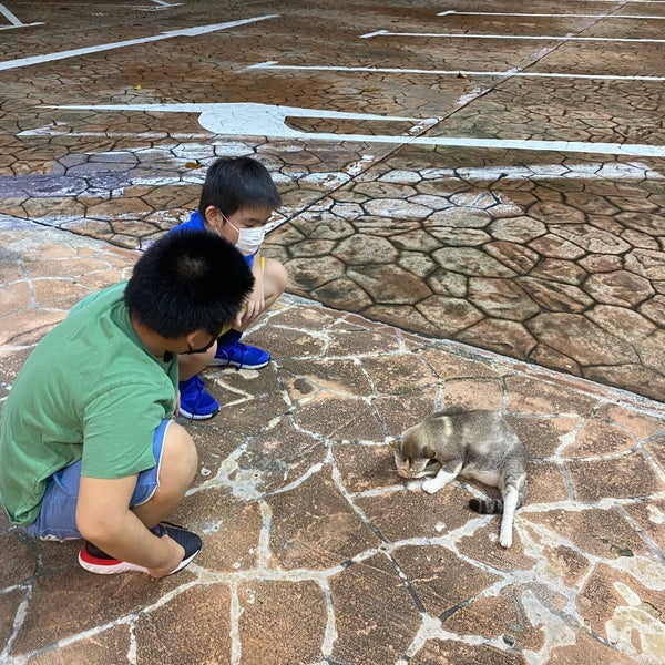 Tanglin Community Club - Novena - 7 tips from 589 visitors