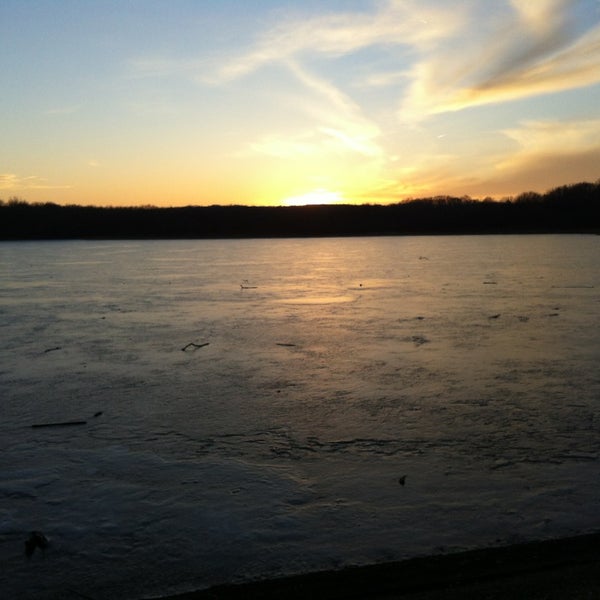 Bullfrog Lake - Willow Springs, IL