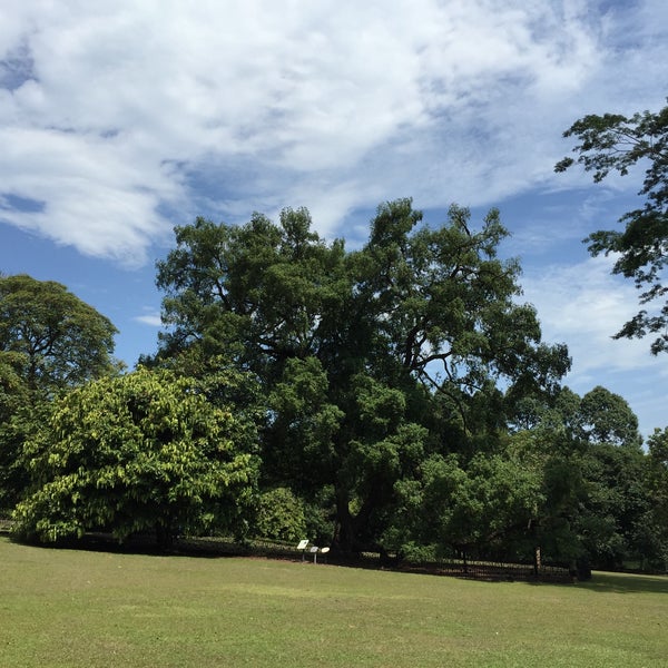 Heritage Trees Trail