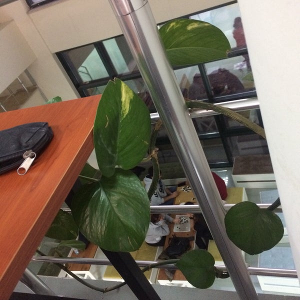 IYTE Library - Gulbahce Kampusu