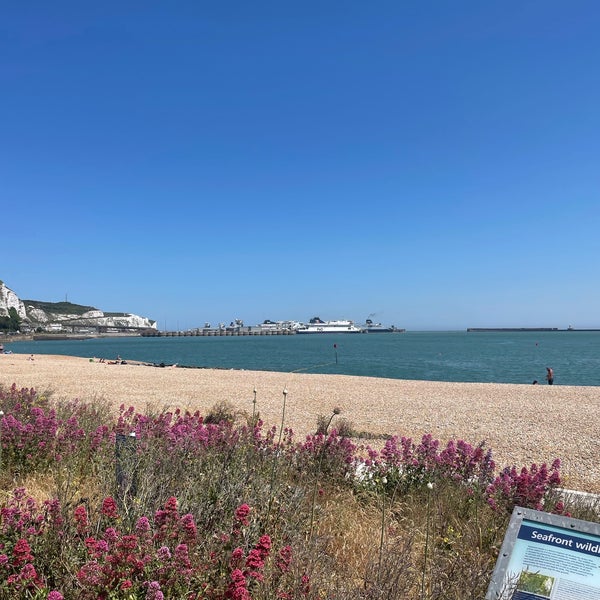 Dover Beach - 2 tips