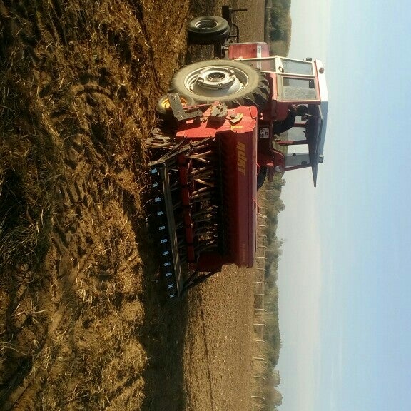 madencinin keyfi sefa bahçesi - Farm