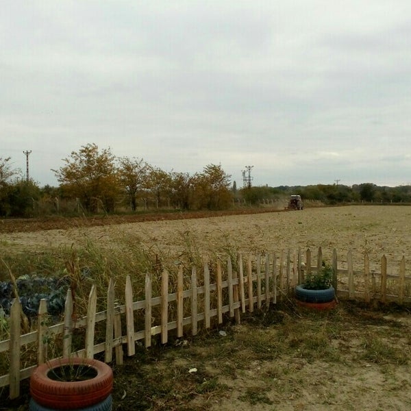 madencinin keyfi sefa bahçesi - Farm