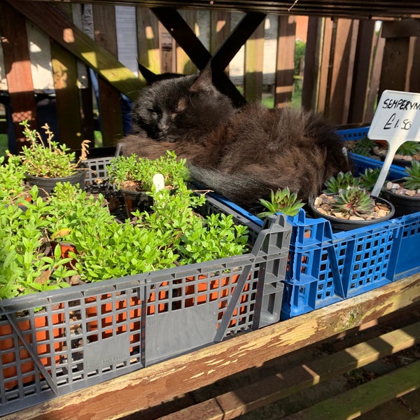 Photos at Heeley City Farm - Heeley, Sheffield