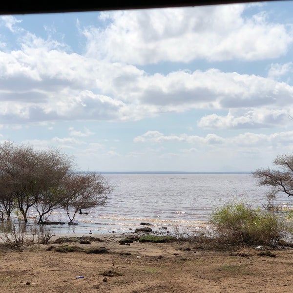 Lake Manyara - 2 tips