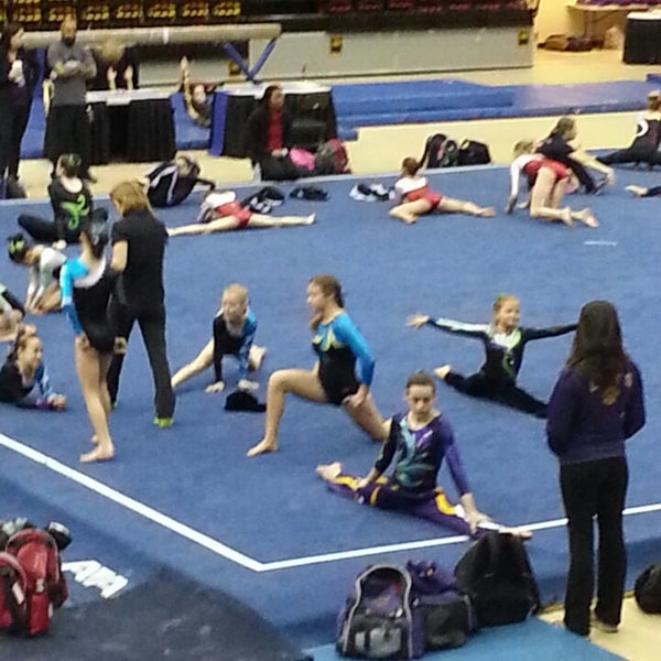 Gymnastics Gold - Gymnastics Center