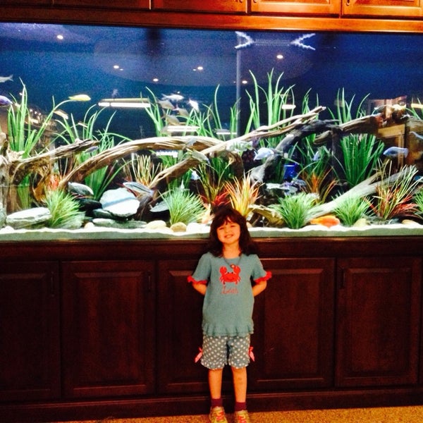 The Fish Gallery - Zoo