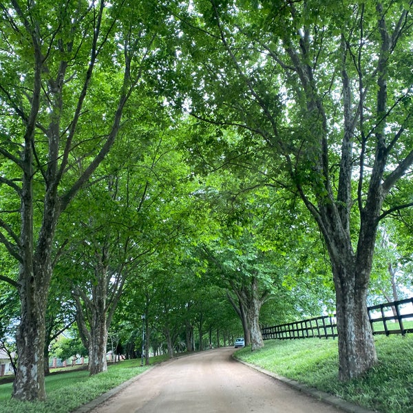 Camp Orchards - Hillcrest, KwaZulu-Natal