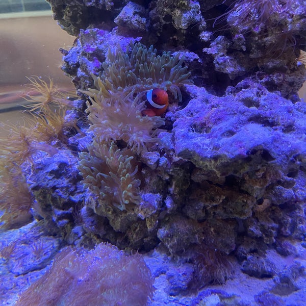 Seacoast Science Center - 7 tips from 678 visitors