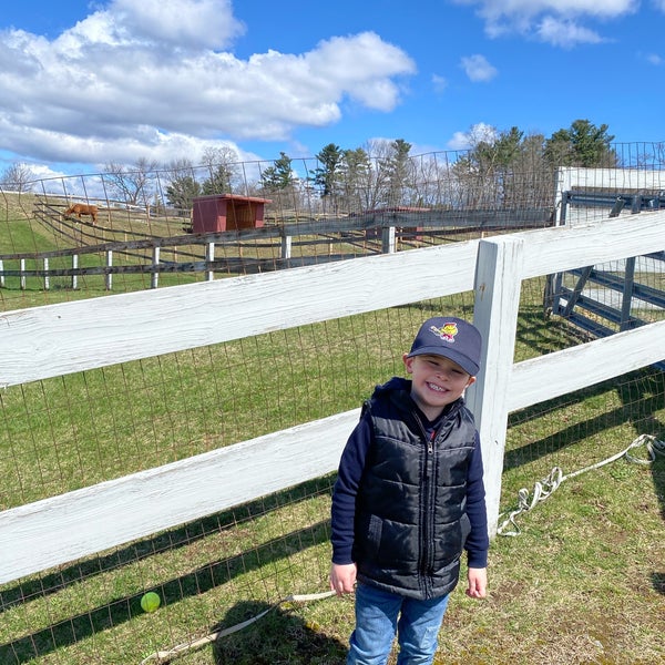 MSPCA ACAC -- Nevins Farm - Methuen, MA