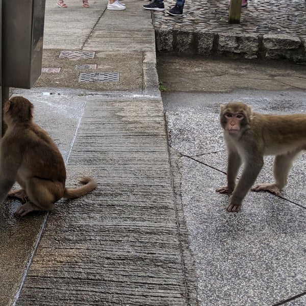 Photos at Shek Lei Pui Reservoir - 1 tip from 86 visitors