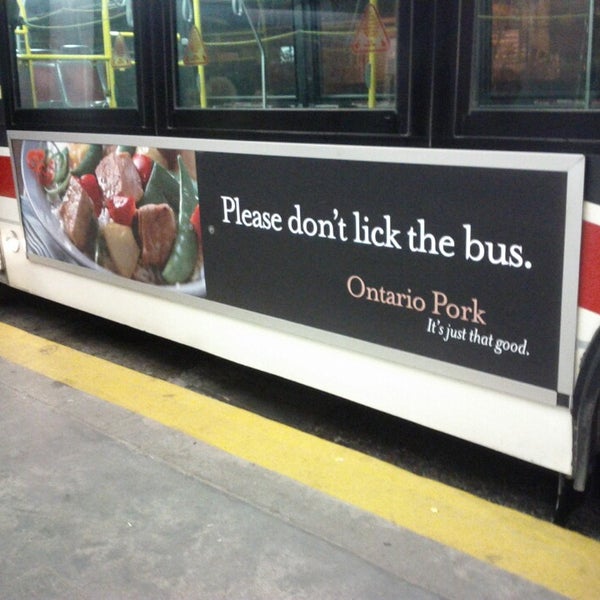 TTC Bus #81 - Thorncliffe Park - Bus Line in Toronto