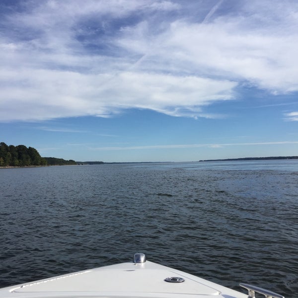 Kentucky Lake - Lake