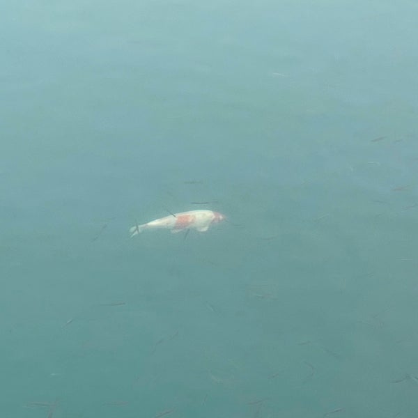 Photos at Shek Lei Pui Reservoir - 1 tip from 86 visitors