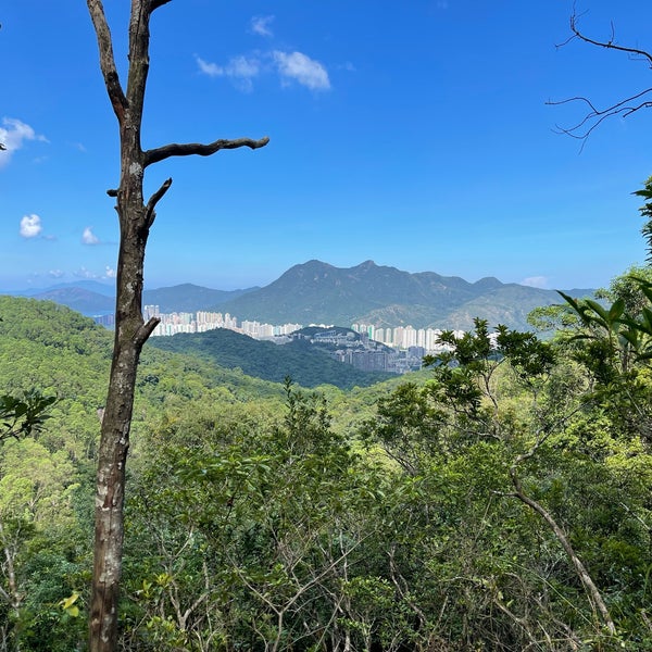Tai Po Kau Nature Reserve 大埔滘自然護理區 - Tai Po Kau, Tai Po District