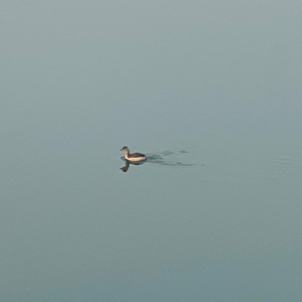 Photos at Shek Lei Pui Reservoir - 1 tip from 86 visitors