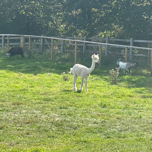 Willows Farm Village - 16 tips