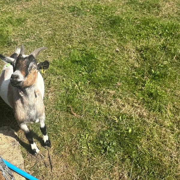 Willows Farm Village - 16 tips