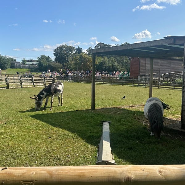 Willows Farm Village - 16 tips