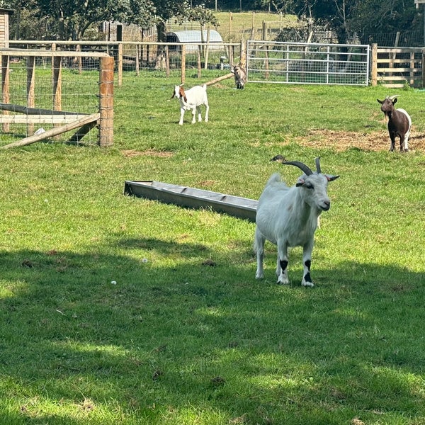 Willows Farm Village - 16 tips