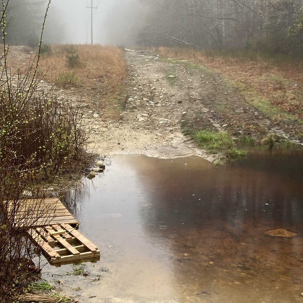 Speedwell Tavern - Bar