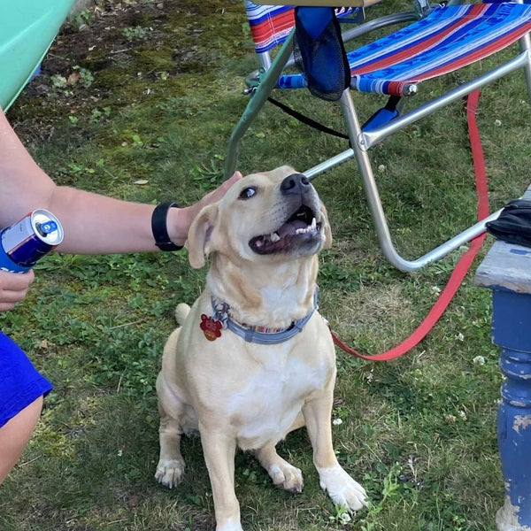 Brant Rock Market - 22 Dyke Rd.