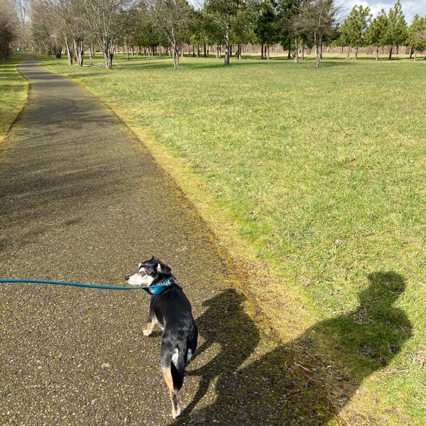 Ivor Davies Park - Park in Molalla