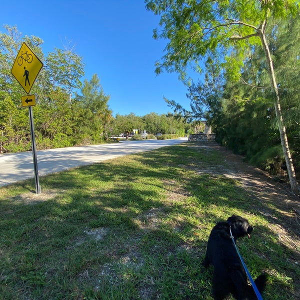Chapman Field Park - Baseball Field