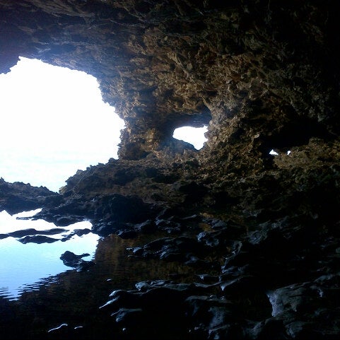 Animal Flower Cave - Cave