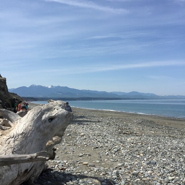 Dungeness Spit - Beach