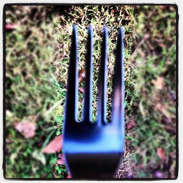 Daughtry Park Softball Complex - Jackson, GA