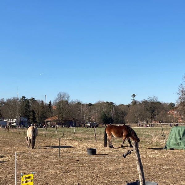Domäne Dahlem - Farm in Dahlem