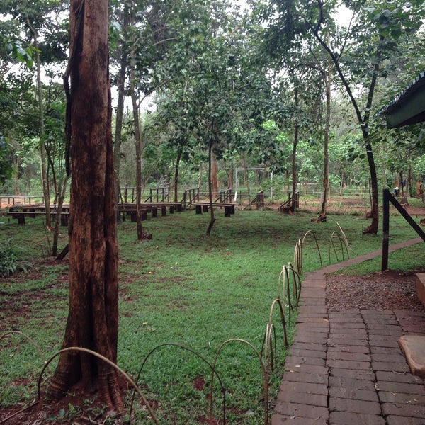 Karura Forest (Thigiri Side) - Forest in Karura Forest