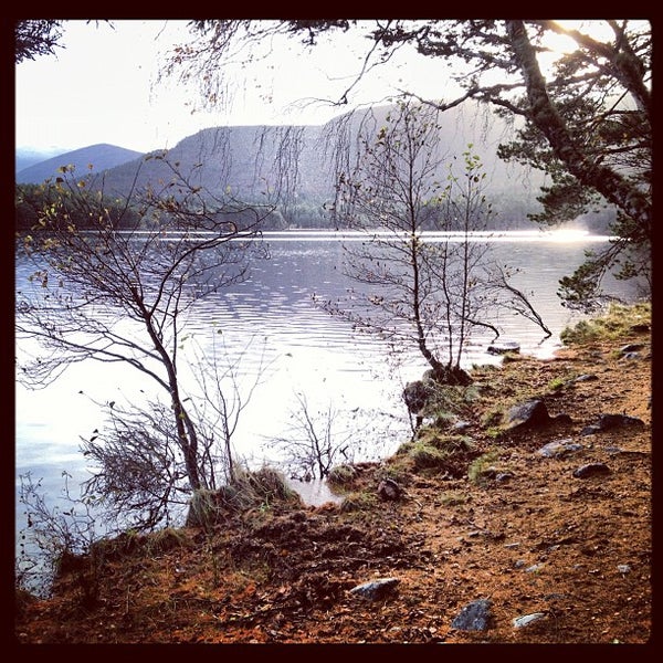 Loch An Eilean - 4 tips