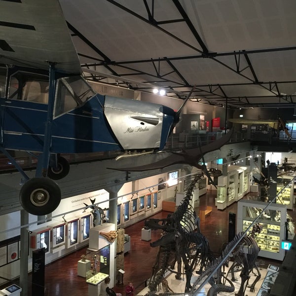Photos at Queen Victoria Museum - Museum