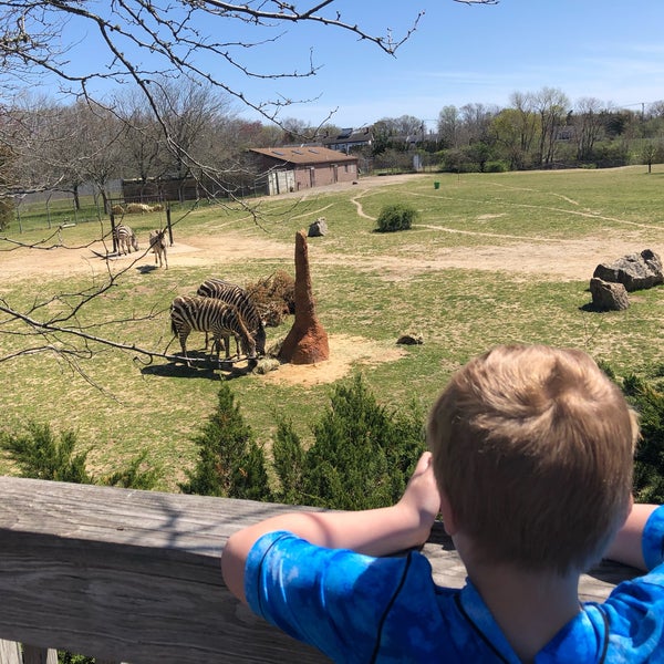 Cape May Zoo